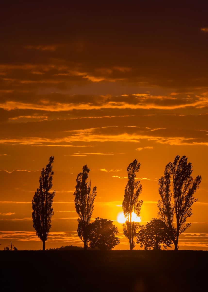 'Landscape With Orange Suns' Poster, picture, metal print, paint by ...