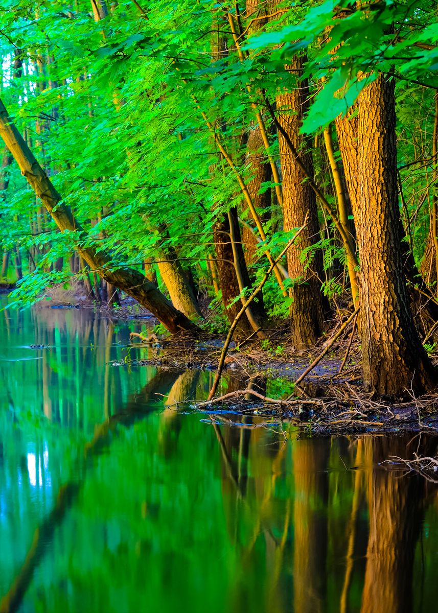 'Forest River Scene' Poster, picture, metal print, paint by Stunning ...