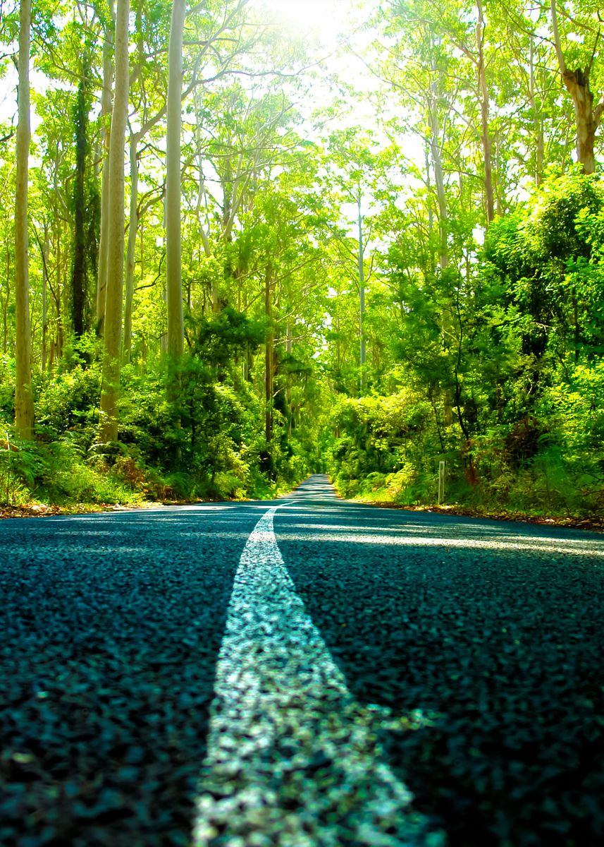 'Rainforest Road' Poster, picture, metal print, paint by Stunning ...