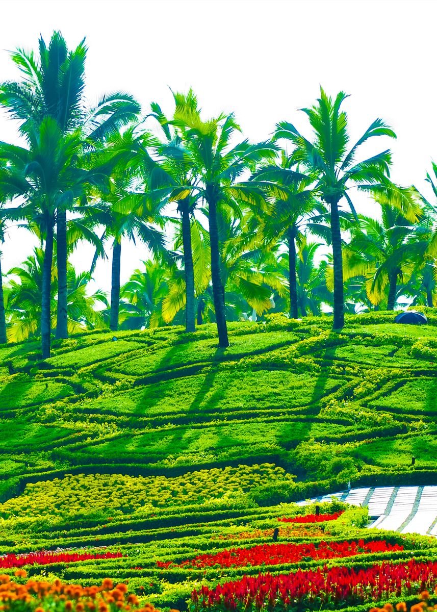 'Palm Tree' Poster, picture, metal print, paint by Stunning Wallpapers ...