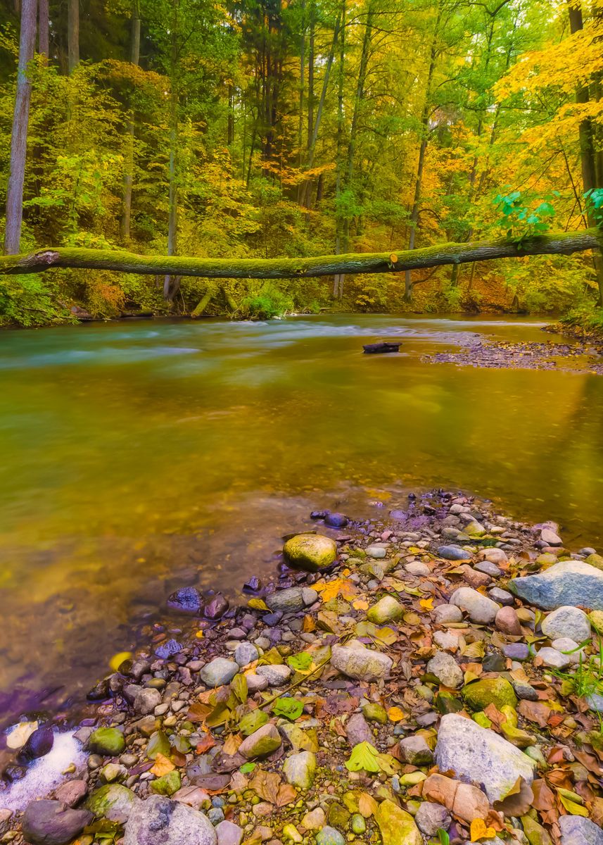 'Beautiful River In Forest' Poster by Stunning Wallpapers | Displate