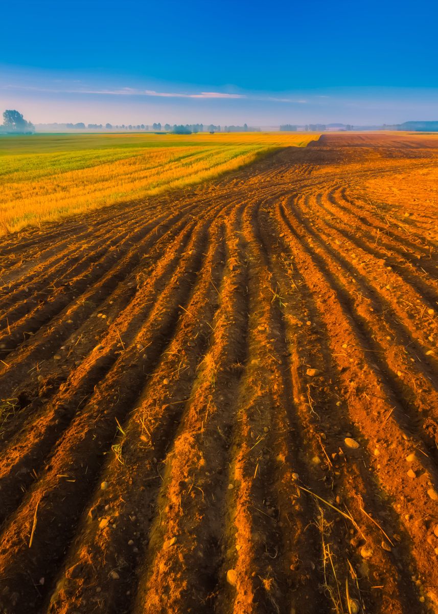 'Morning Plowed Field Lands' Poster by Stunning Wallpapers | Displate