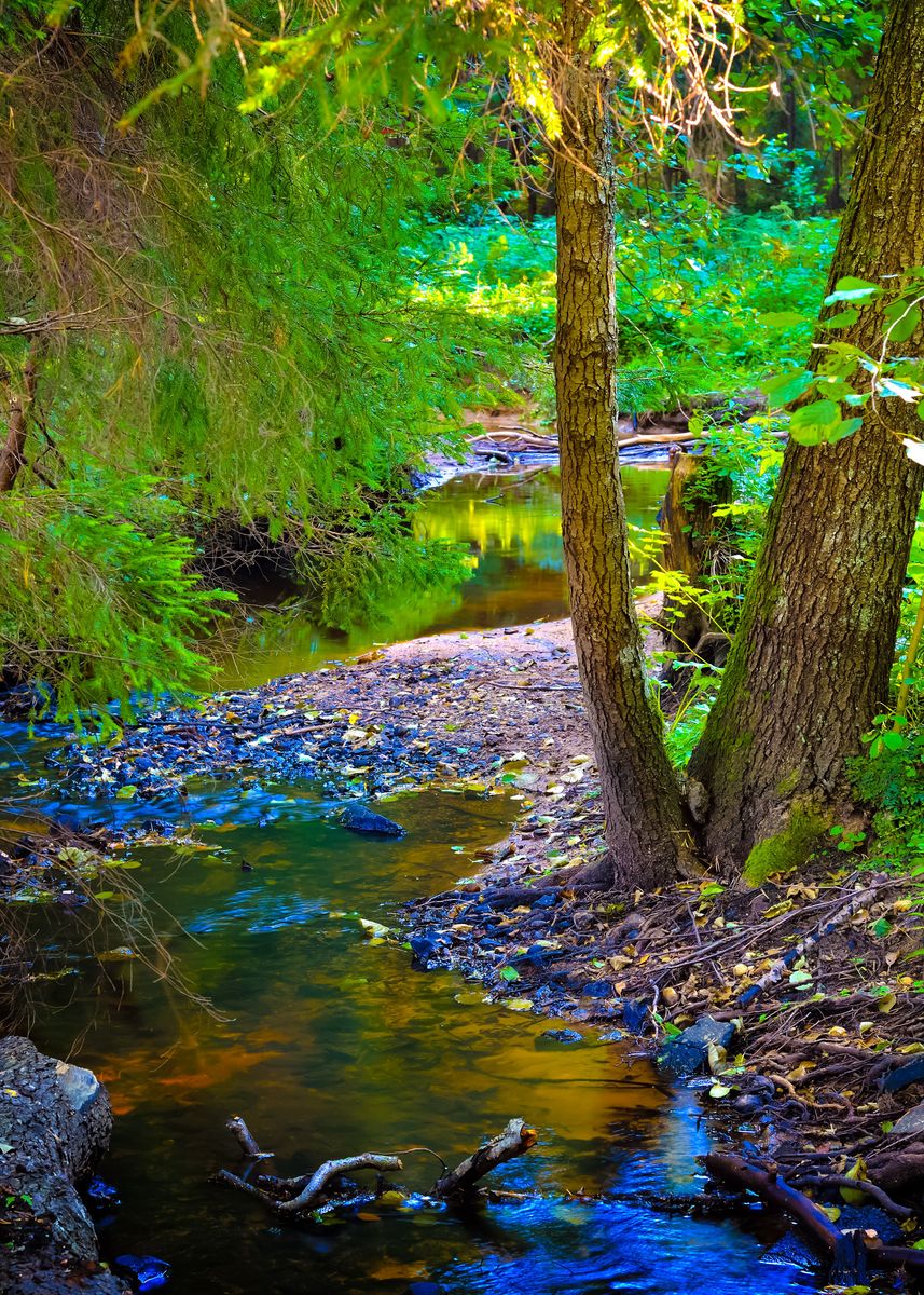 'Forest River Scene' Poster, picture, metal print, paint by Stunning ...