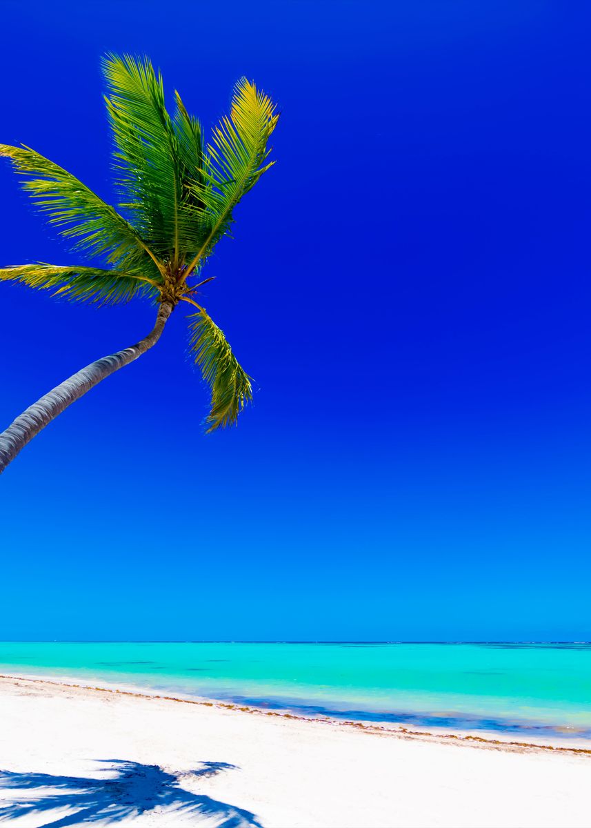 'Stunning Backgrounds' Poster by Stunning Wallpapers | Displate