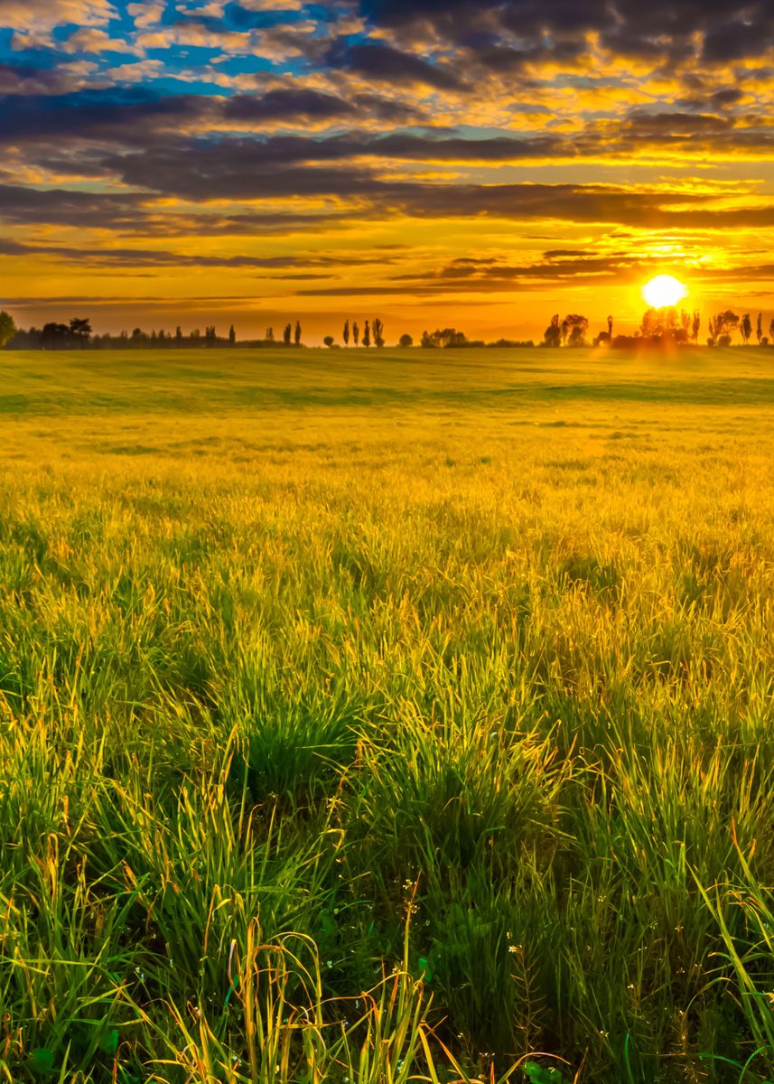 'Green Fields' Poster, picture, metal print, paint by Stunning ...