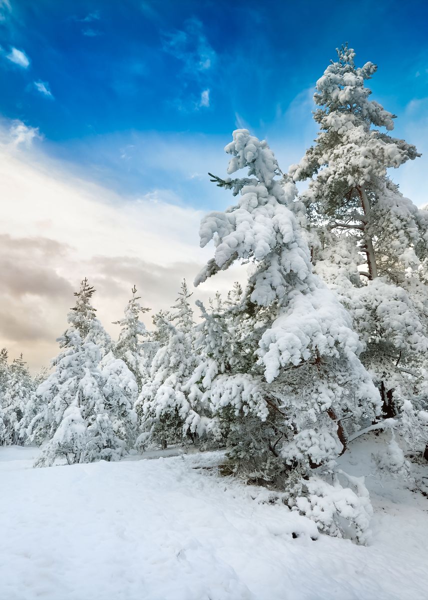 'Winter Wonderland In Snow ' Poster by Stunning Wallpapers | Displate