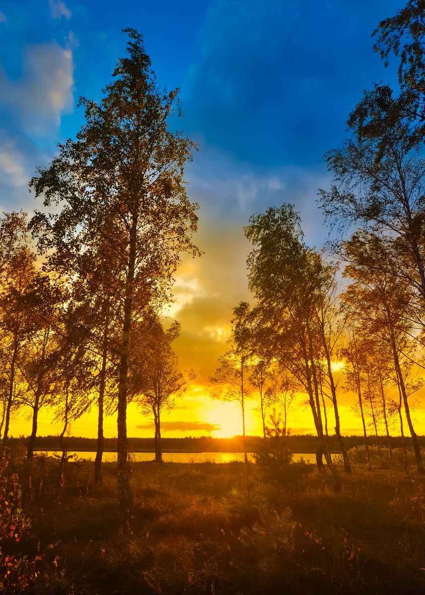 'Autumn Forest Landscape' Poster by Stunning Wallpapers | Displate