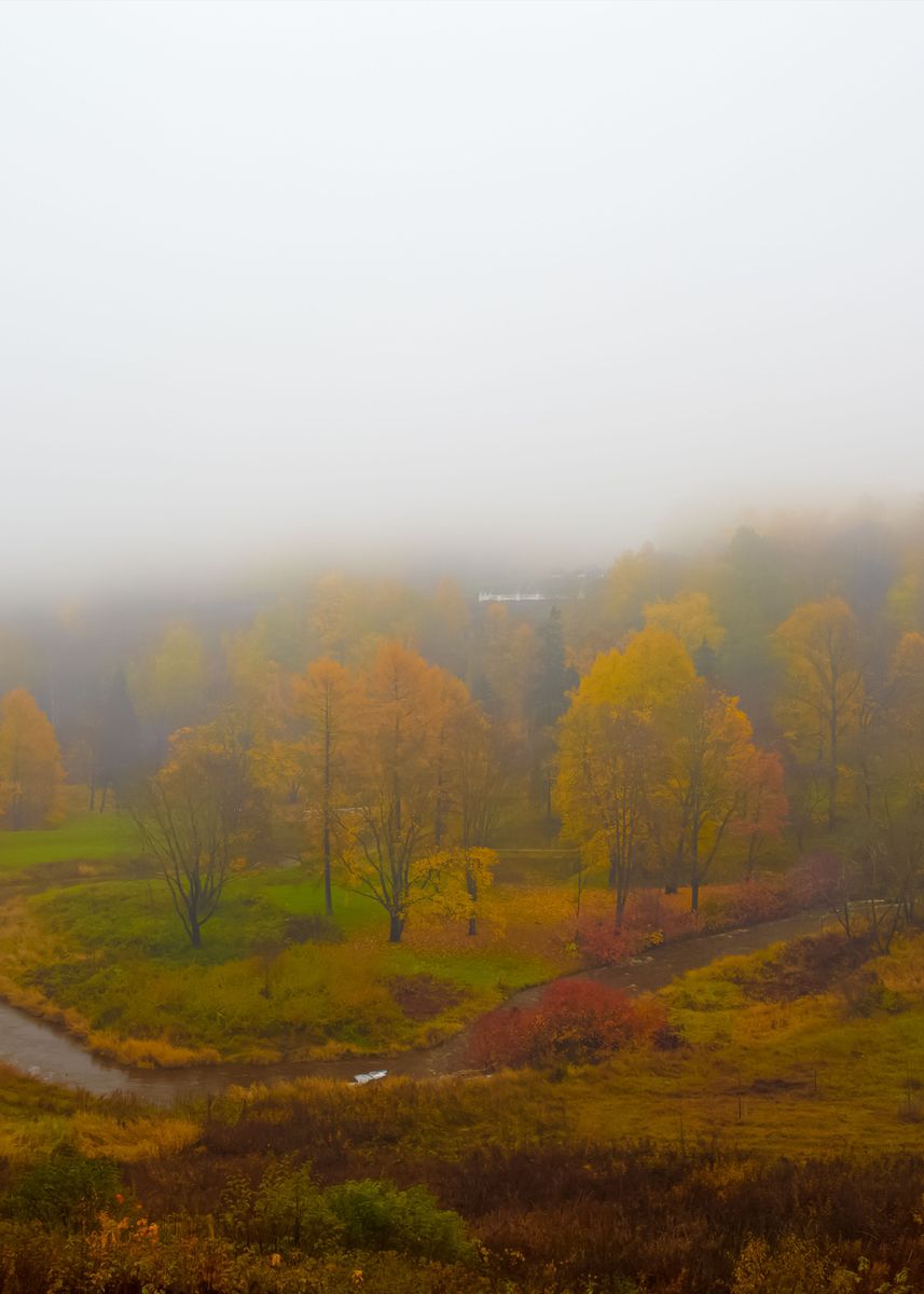 'The Fog Is Coming On Fores' Poster, picture, metal print, paint by ...