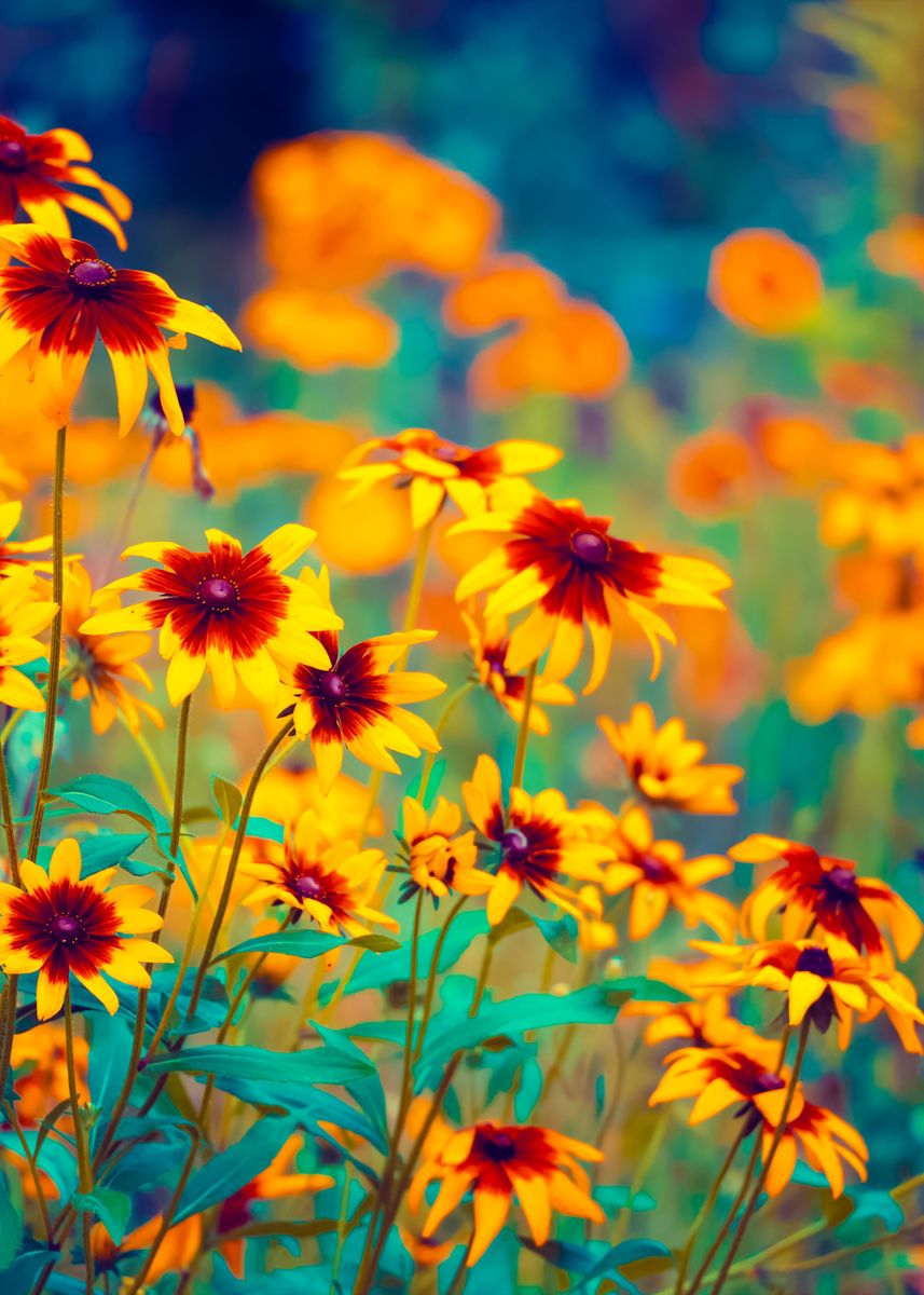 'Flowers In A Garden In Sum' Poster, picture, metal print, paint by ...