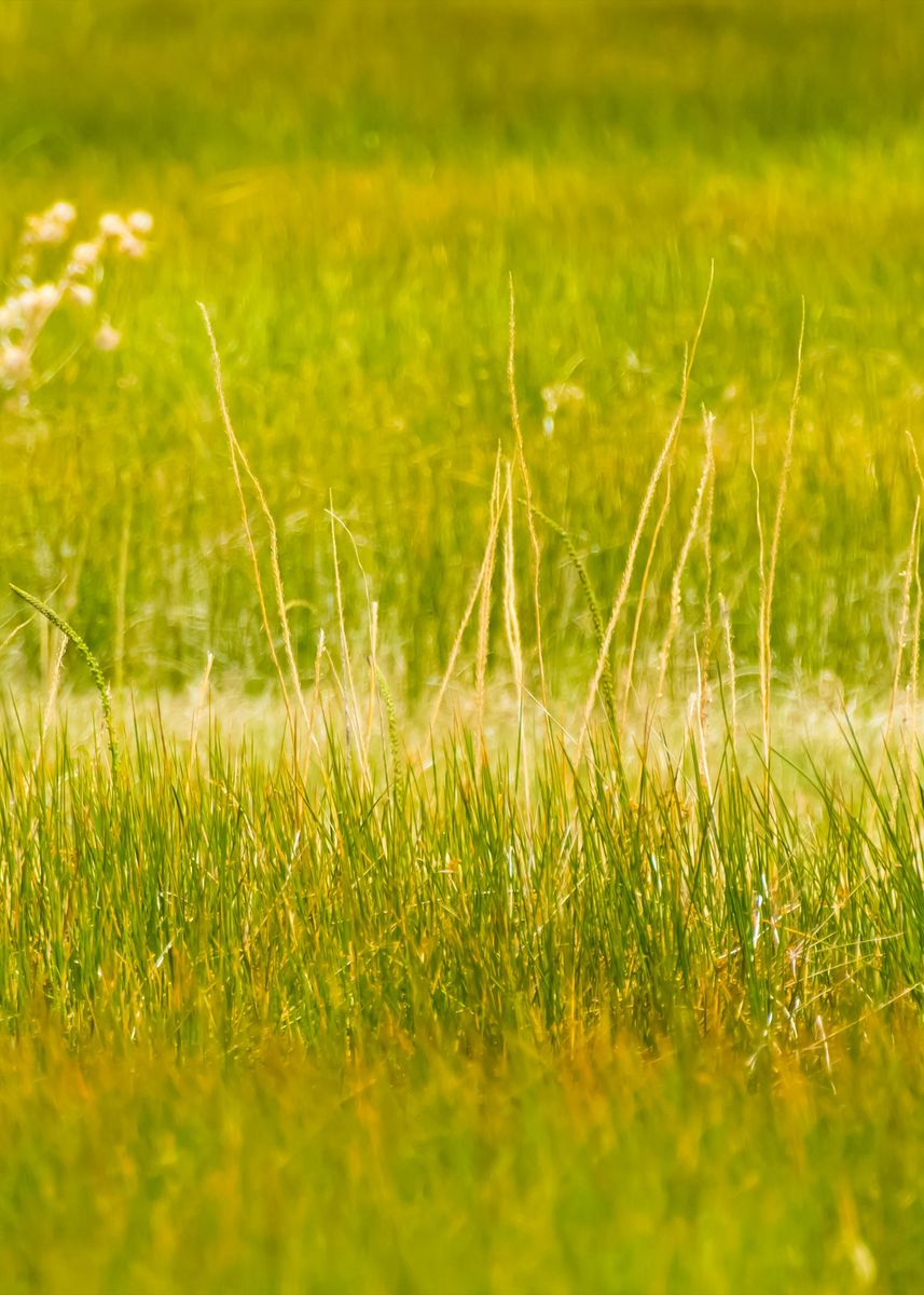 'Stunning Backgrounds' Poster by Stunning Wallpapers | Displate