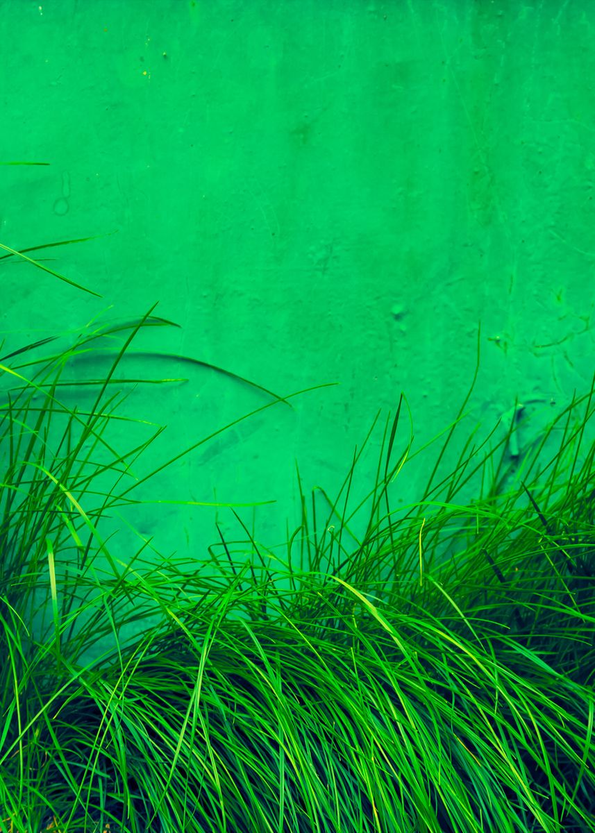 'Grunge Green Background Fr' Poster by Stunning Wallpapers | Displate