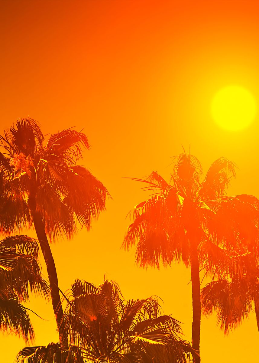 'Orange Sunset Over Palm Tr' Poster, picture, metal print, paint by ...