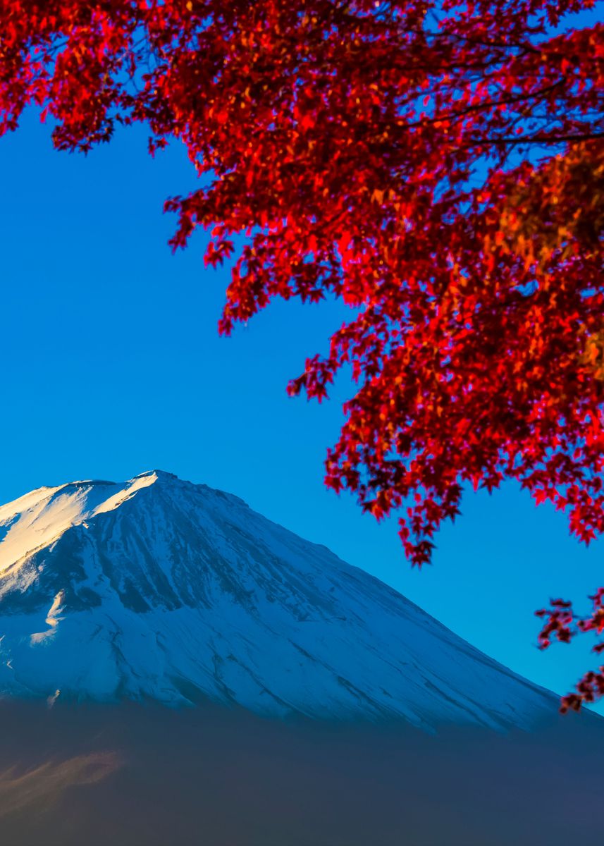 'Mount Fuji With Red Autumn' Poster by Stunning Wallpapers | Displate