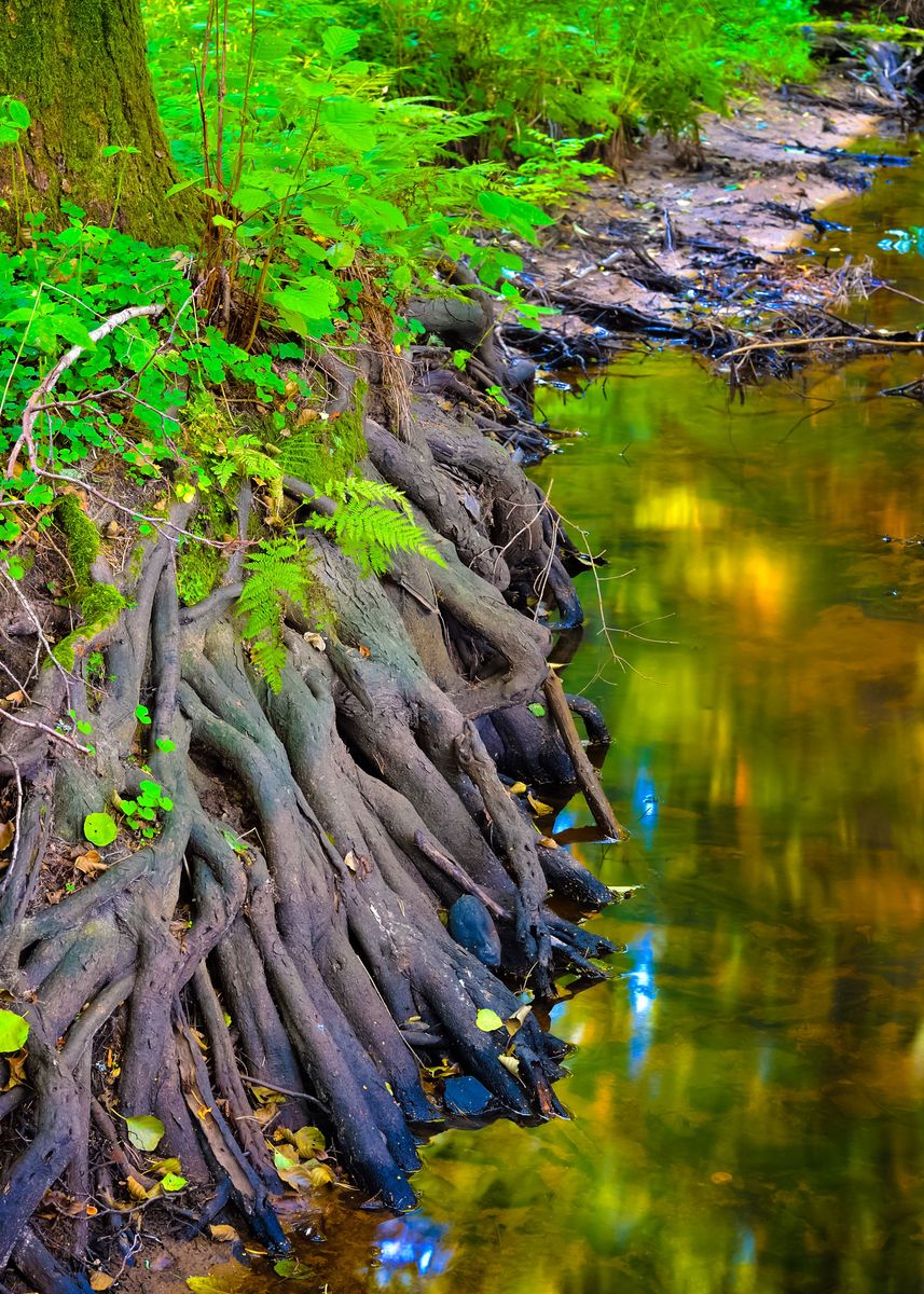 'Forest River Scene' Poster, picture, metal print, paint by Stunning ...