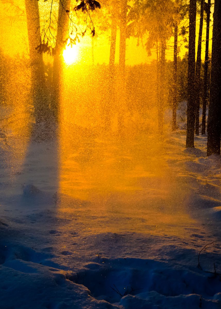 'Falling Snow In Winter For' Poster, picture, metal print, paint by ...