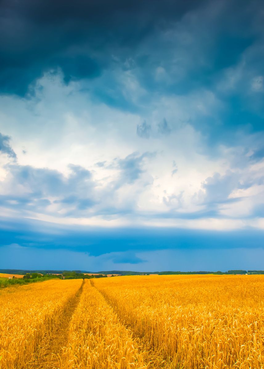 'Stormy Sky Over Field' Poster, picture, metal print, paint by Stunning ...