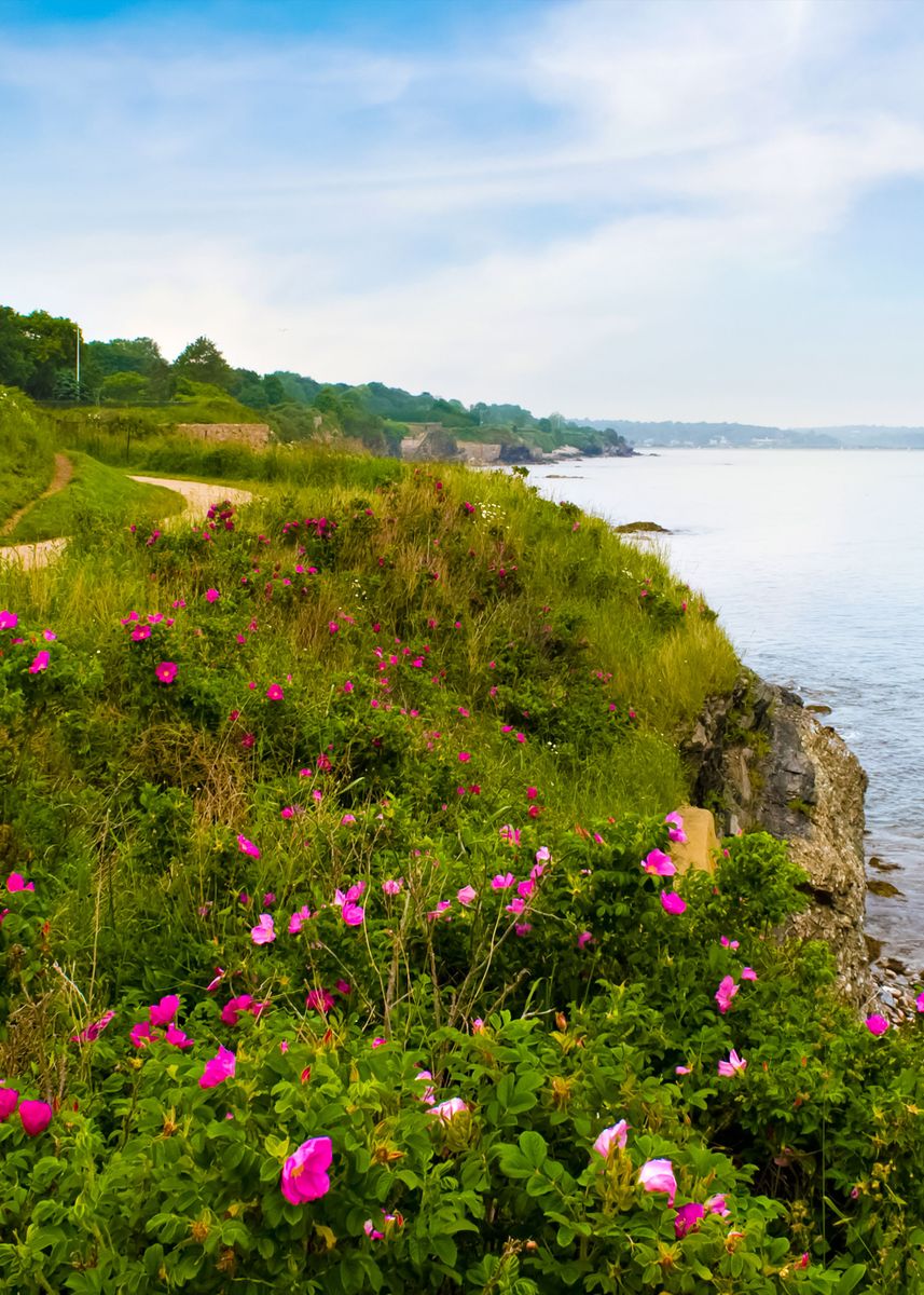 'Newport Rhode Island Shore' Poster by Stunning Wallpapers | Displate