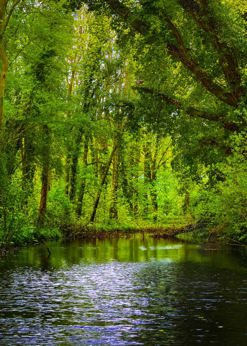 'Forest River In Stochemhoe' Poster, picture, metal print, paint by ...