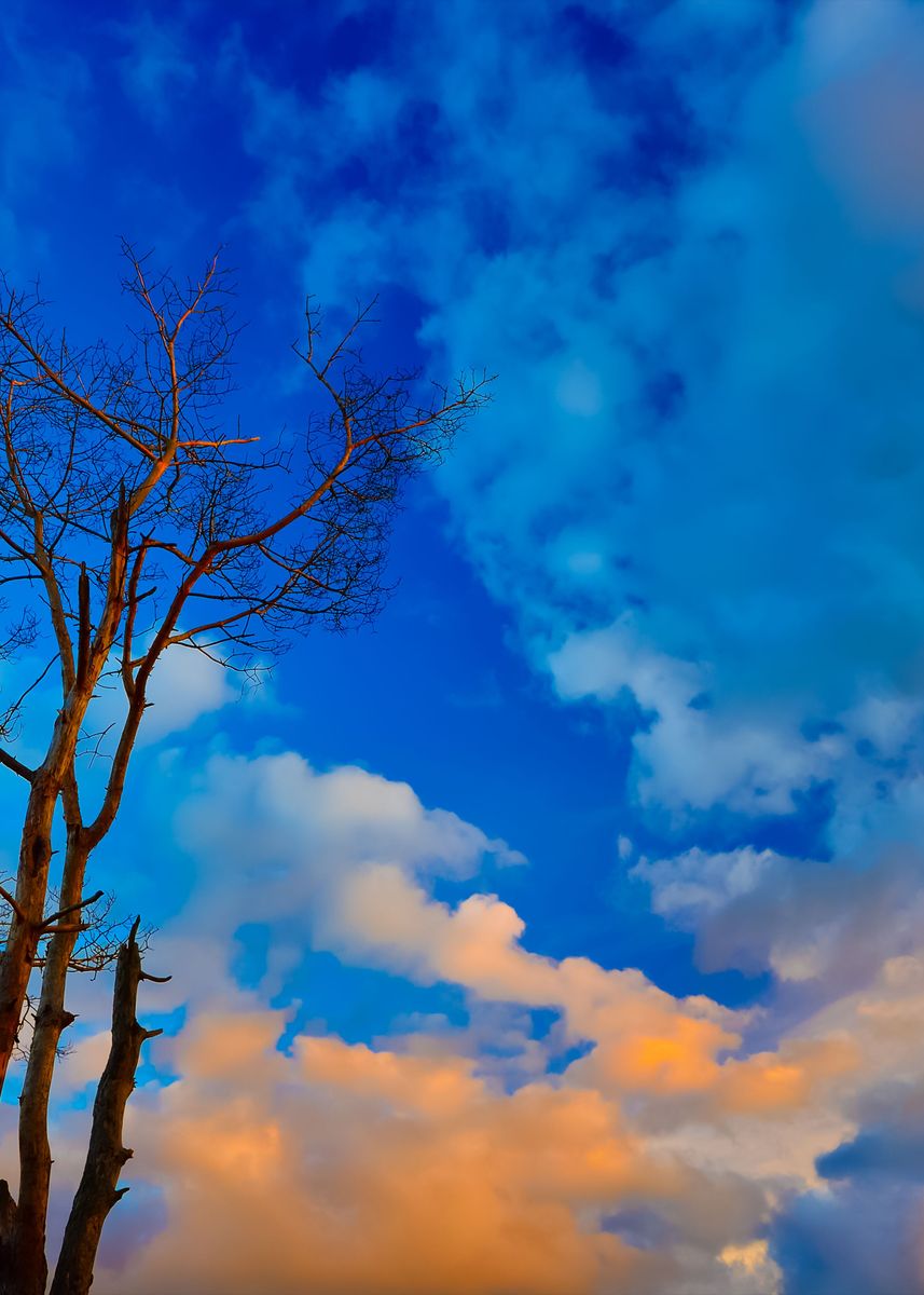 'Tree Against Sky' Poster, picture, metal print, paint by Stunning ...