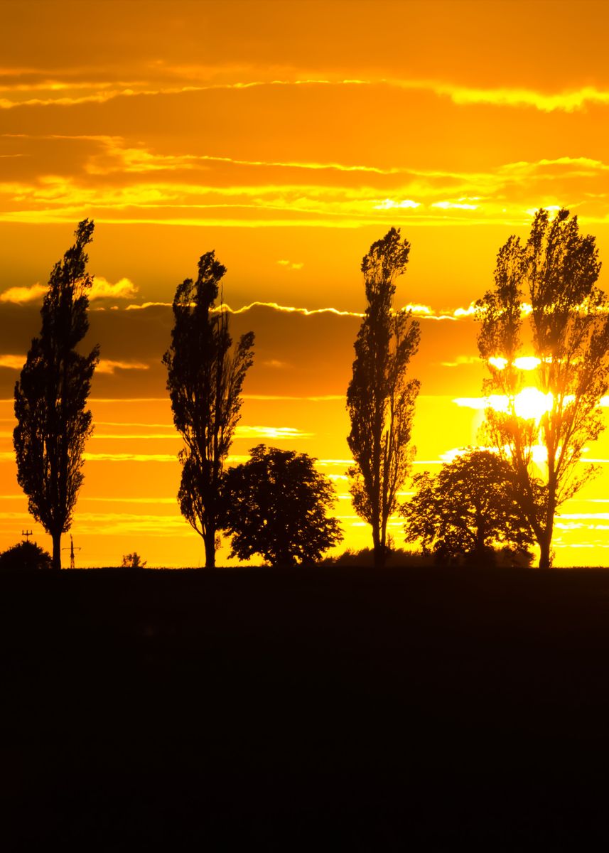 'Beautiful Vibrant Sunset O' Poster, picture, metal print, paint by ...