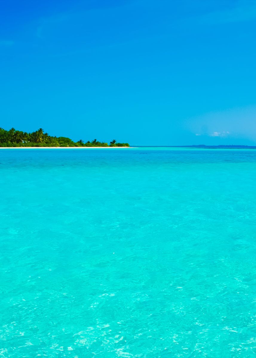 'Maldives Island With Gorge' Poster, picture, metal print, paint by ...