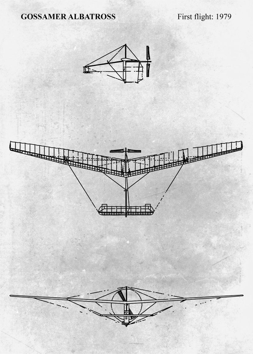 'GOSSAMER ALBATROSS' Poster, picture, metal print, paint by Xavier ...