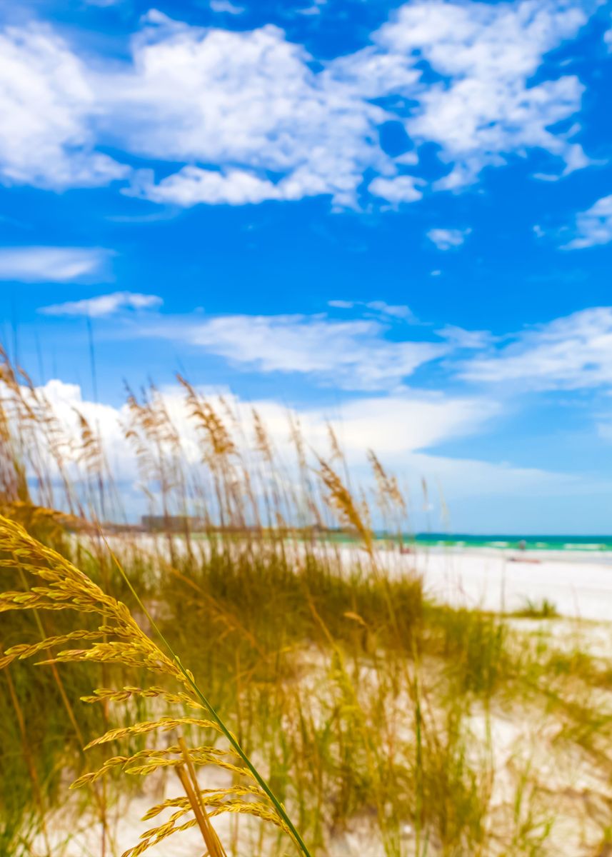 'Siesta Key Beach Sarasota ' Poster, picture, metal print, paint by ...