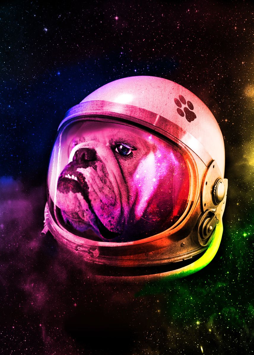 'Bulldog In Space' Poster, picture, metal print, paint by FGworks ...