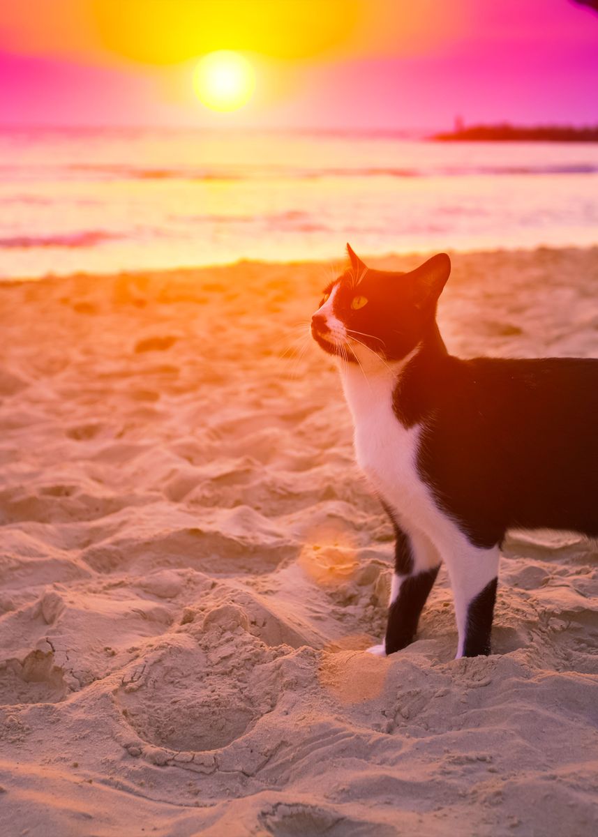 'Cat Walking On The Beach A' Poster, picture, metal print, paint by ...