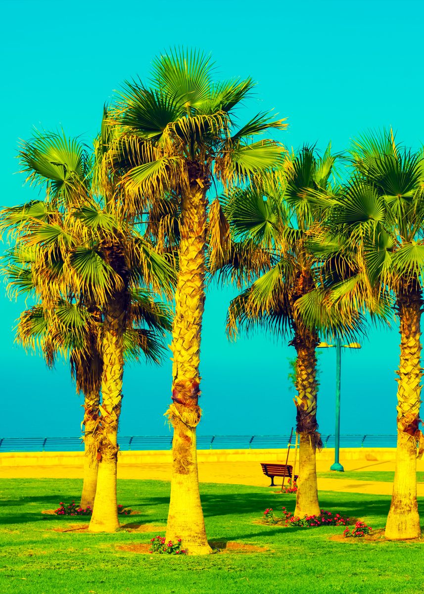 'Palm Trees On The Embankme' Poster by Stunning Wallpapers | Displate
