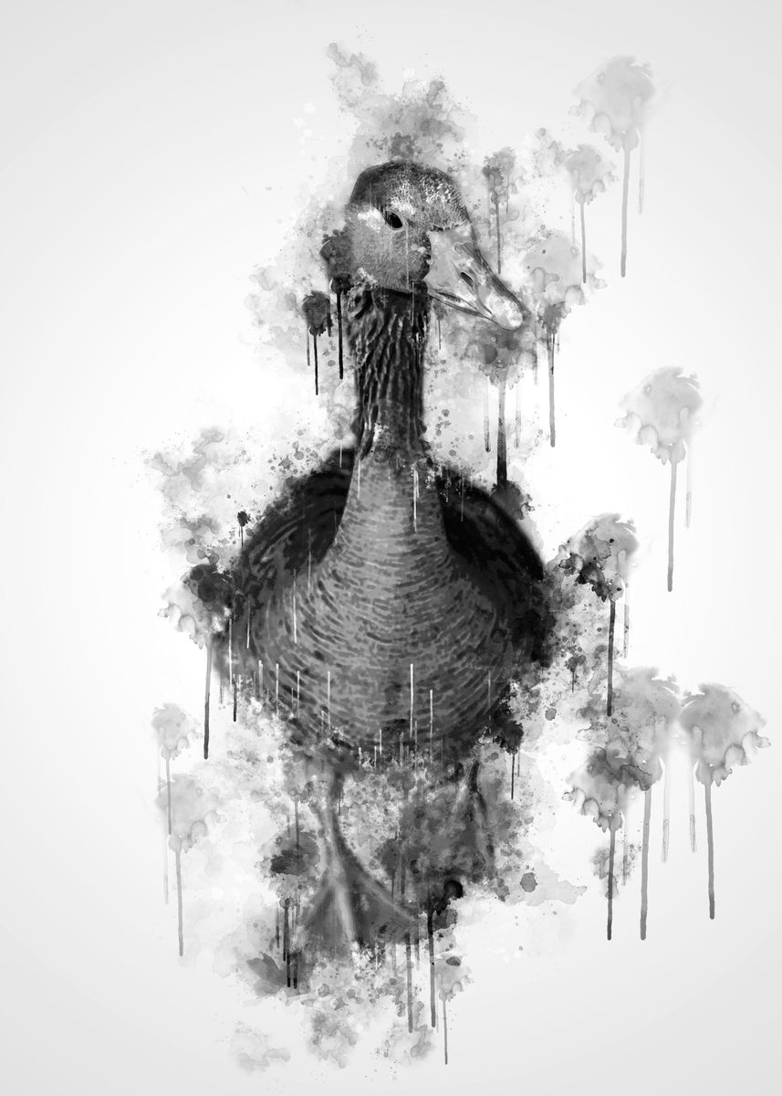 'Duck BW' Poster, picture, metal print, paint by Cornel Vlad | Displate
