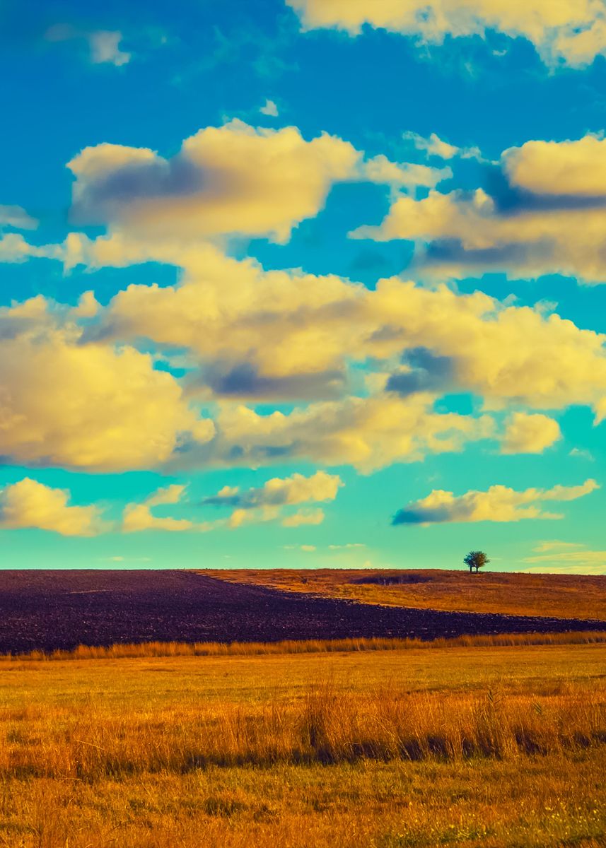 'Beautiful Field With Blue ' Poster, picture, metal print, paint by ...
