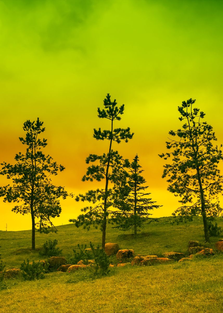 'Landscape With Pine Trees ' Poster, picture, metal print, paint by ...