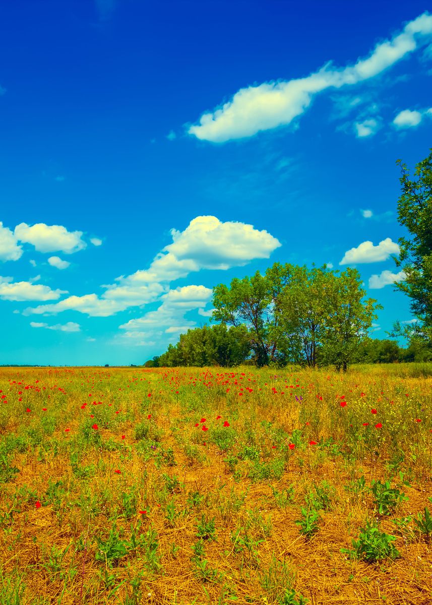 'Uncultivated Field With Tr' Poster, picture, metal print, paint by ...