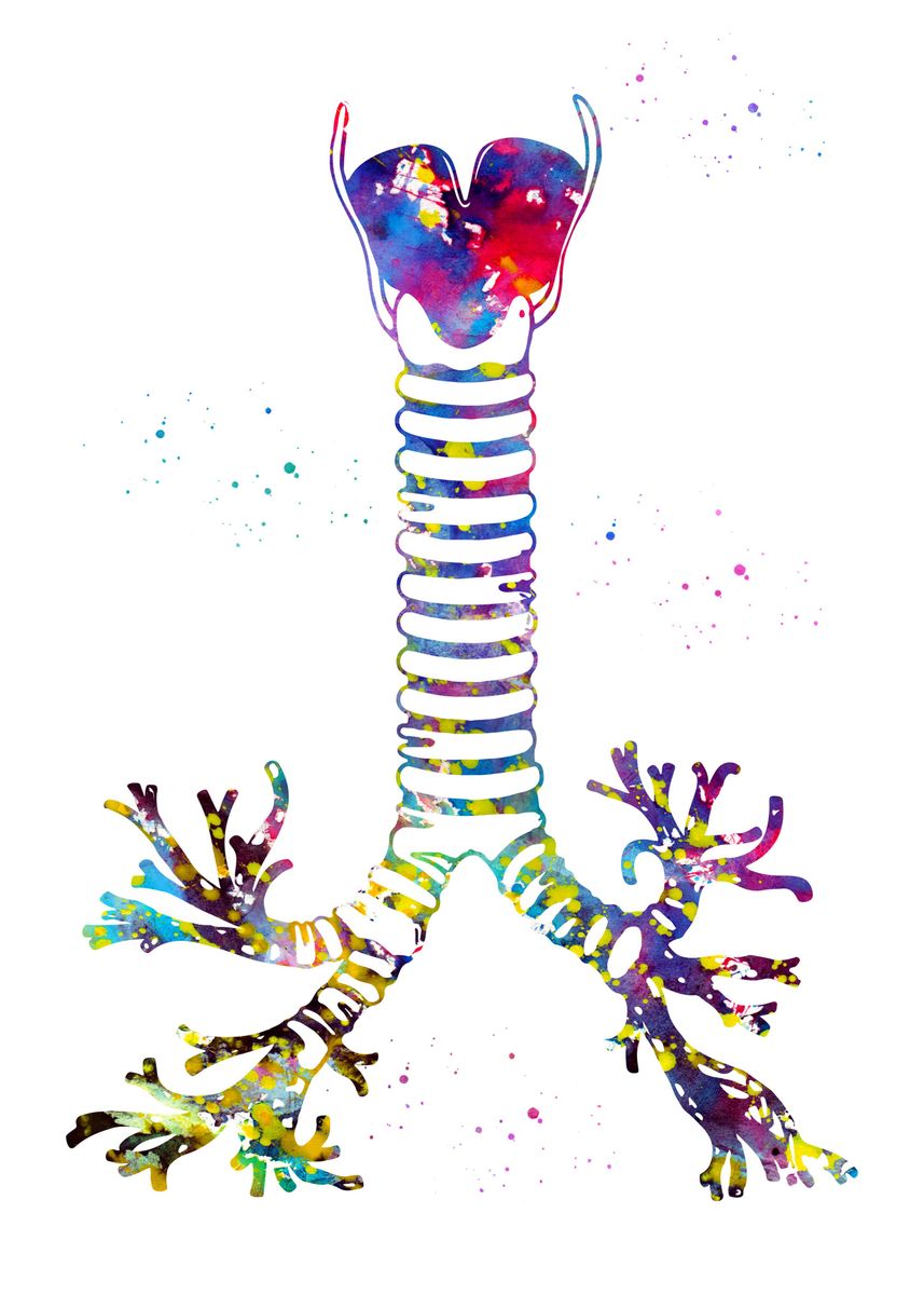 'Windpipe ' Poster, picture, metal print, paint by Erzebet Prikel ...