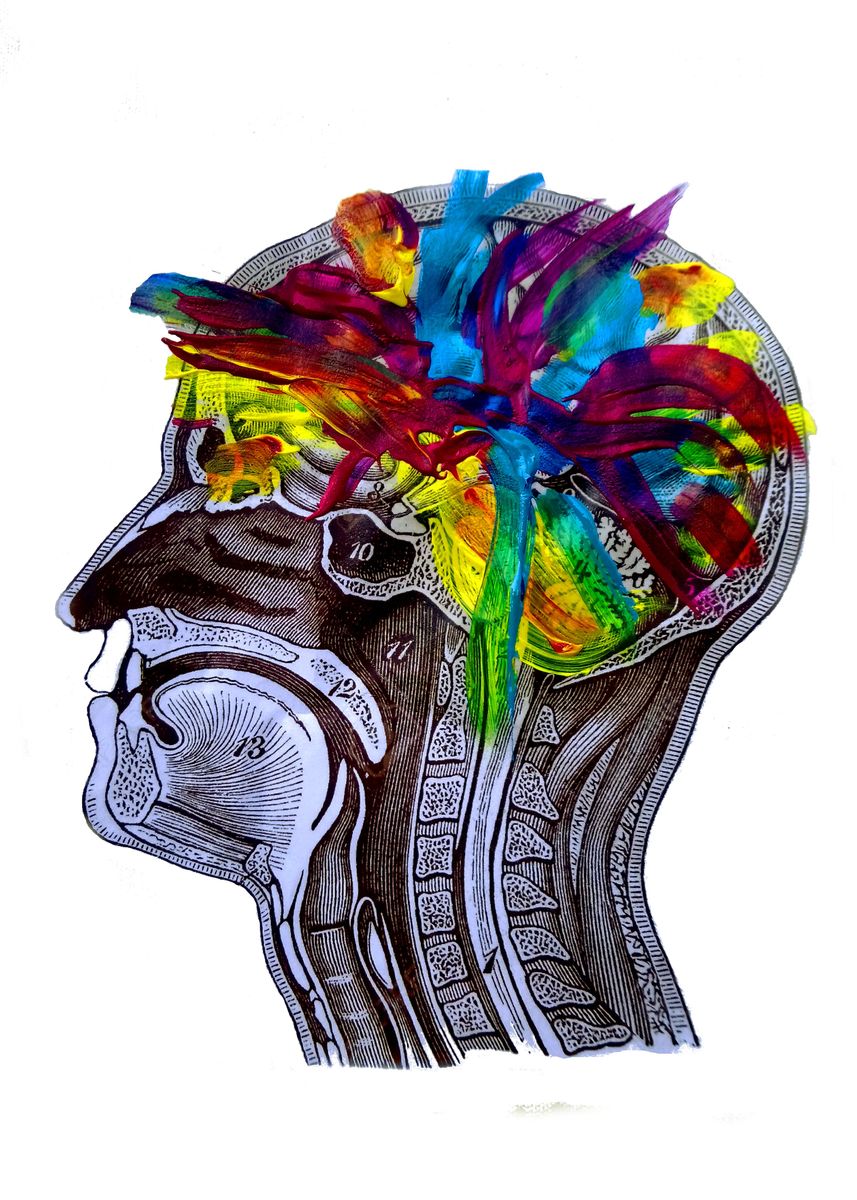 'Axial anathomy' Poster, picture, metal print, paint by Alessandro ...