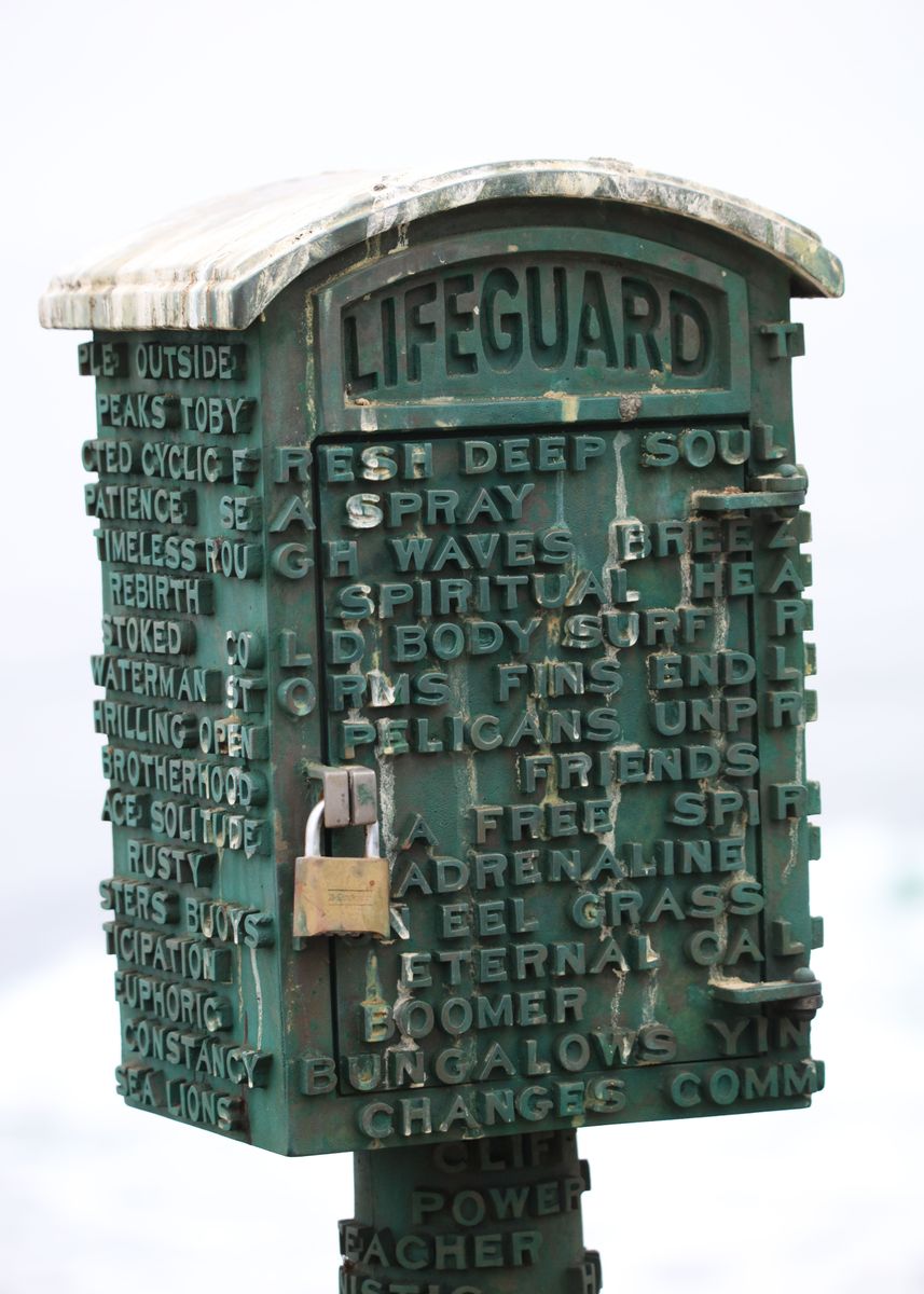 'Lifeguard' Poster, picture, metal print, paint by Melanie Kowasic ...