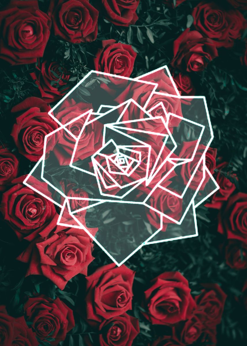 'bed of roses' Poster, picture, metal print, paint by JMdrawings | Displate