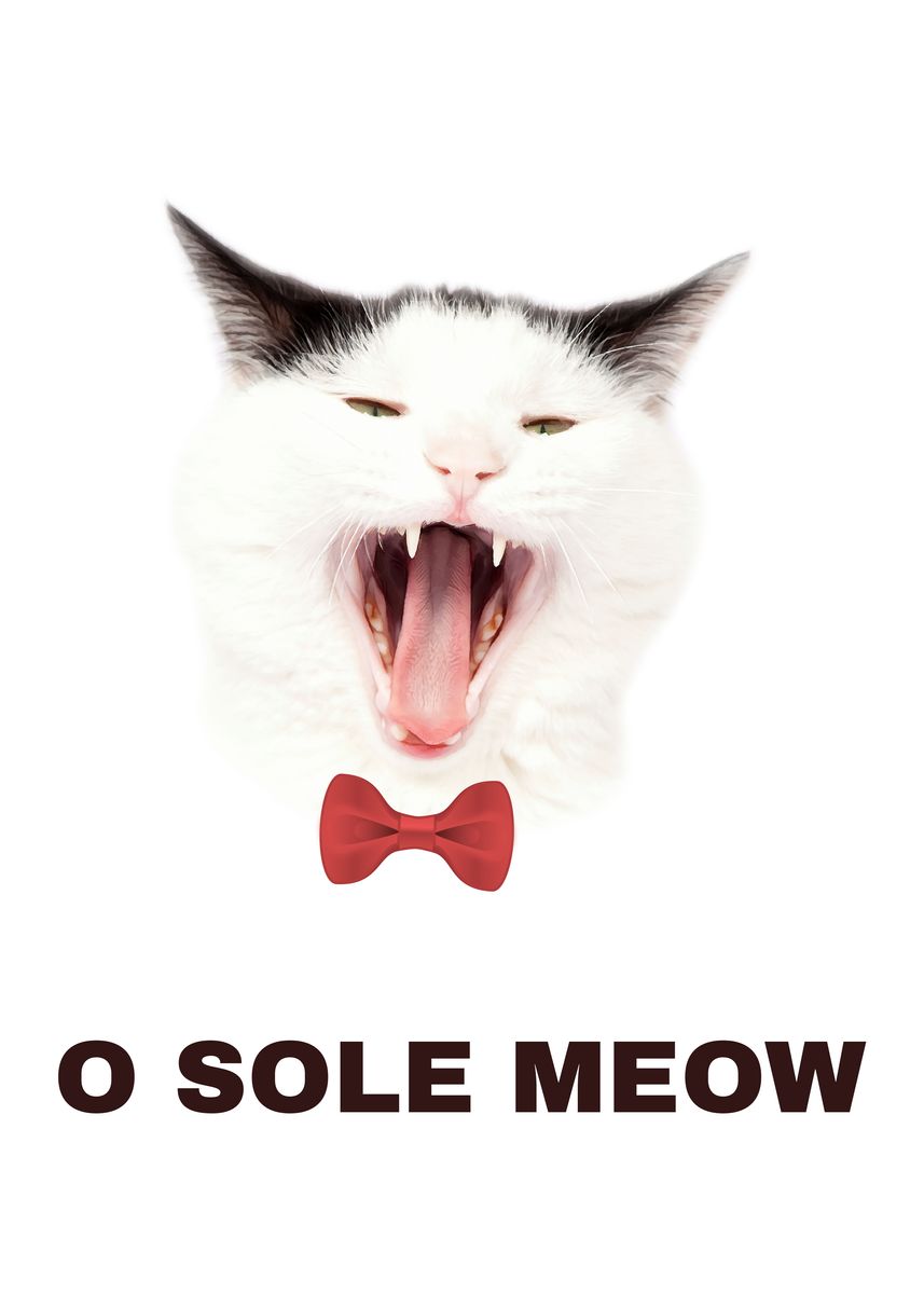 'O Sole Meow' Poster by Art Ofphotos | Displate