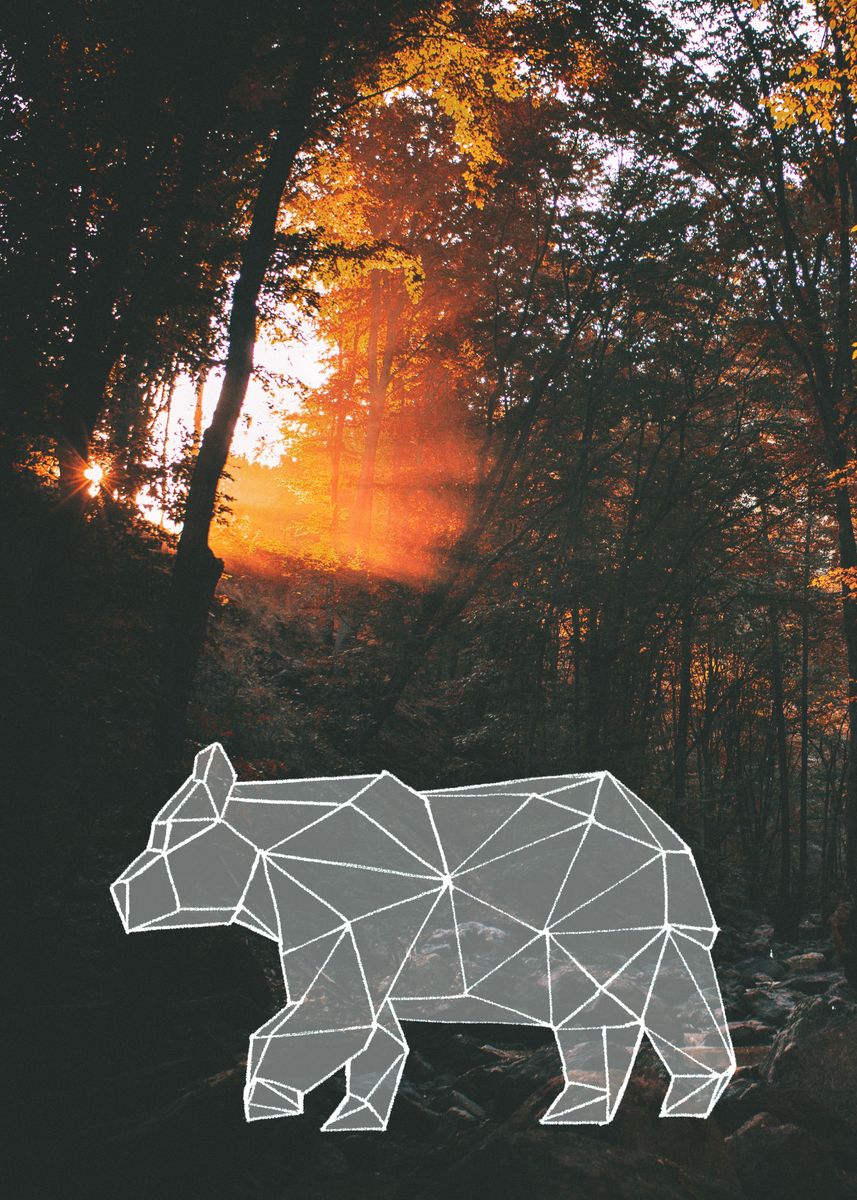 'sunset bear' Poster, picture, metal print, paint by JMdrawings | Displate