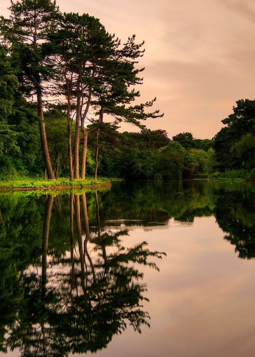 'Forest Lake' Poster, picture, metal print, paint by Svetlana Sewell ...