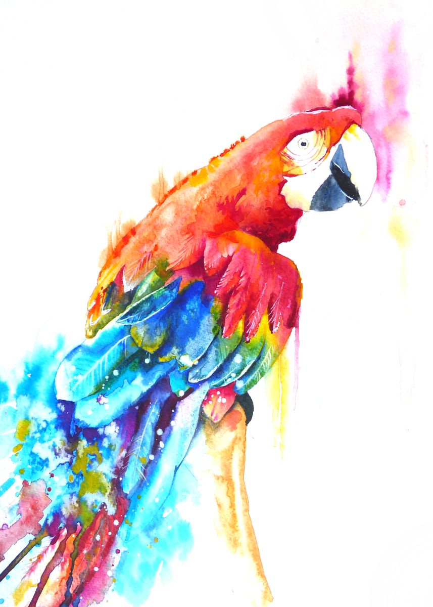 'Colourful Colorful Parrot' Poster, picture, metal print, paint by Emma ...
