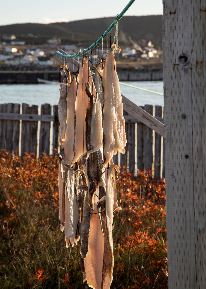 'Salt Cod' Poster, picture, metal print, paint by Karen Foley | Displate