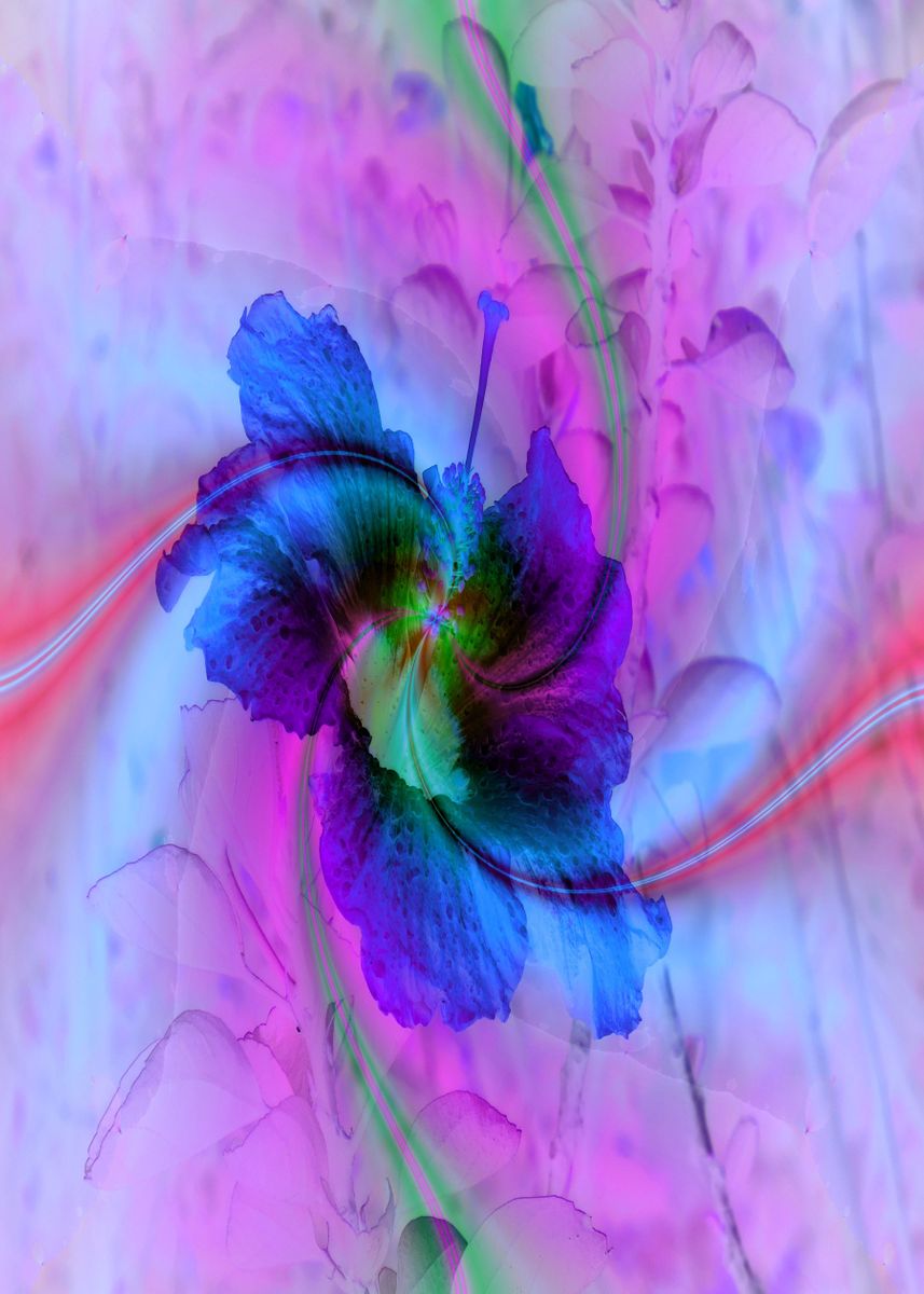 'Iris Splash ' Poster by Robert Mellinkoff | Displate