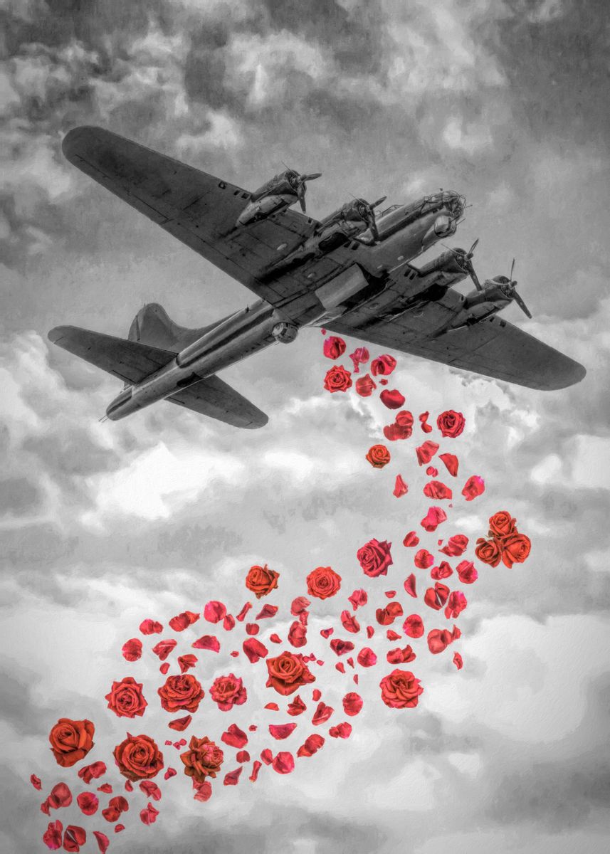 'Rose Bomber ' Poster by Sannib | Displate