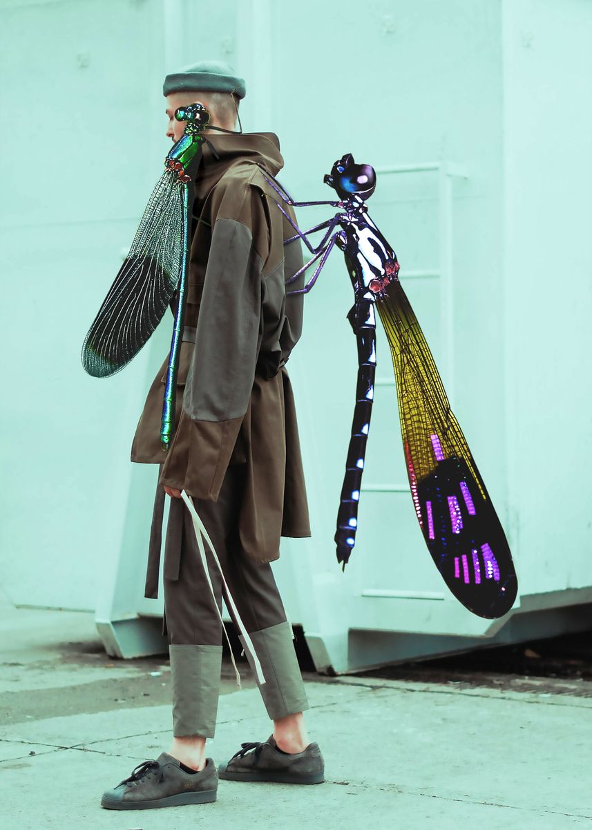 'Dragonfly man' Poster, picture, metal print, paint by dodekaedra ...