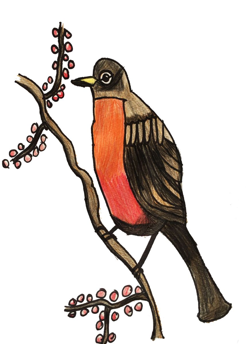 'Red Robin' Poster, picture, metal print, paint by Iman Hughes | Displate