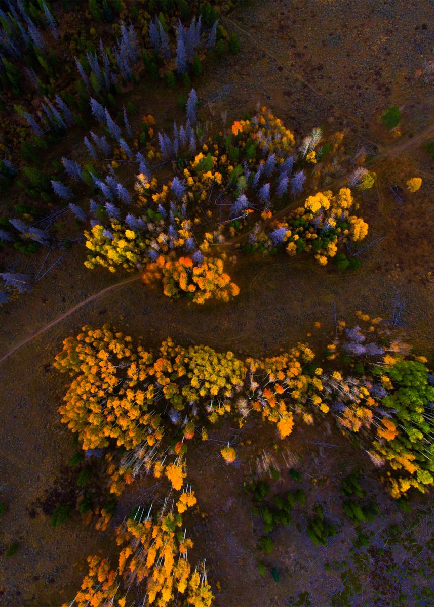 'World From Above' Poster by Stunning Wallpapers | Displate