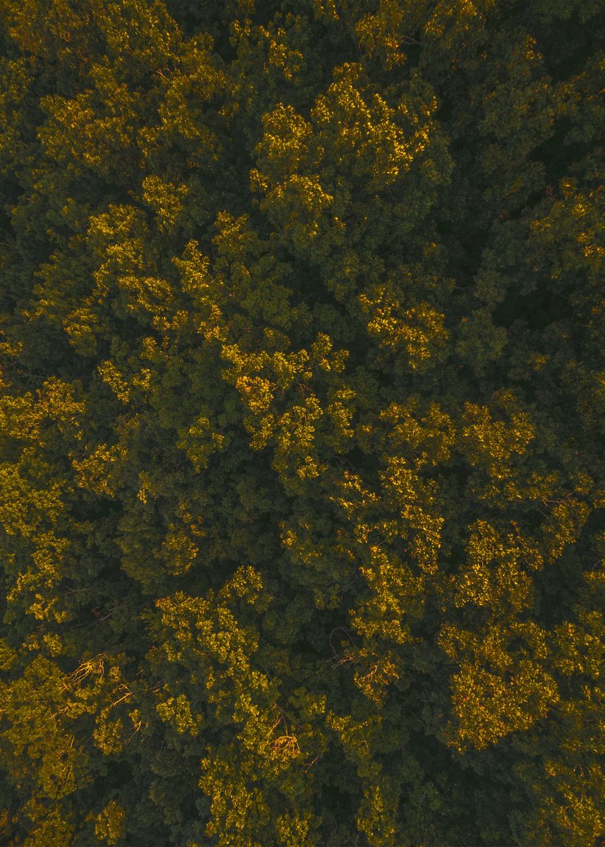 'World From Above' Poster by Stunning Wallpapers | Displate