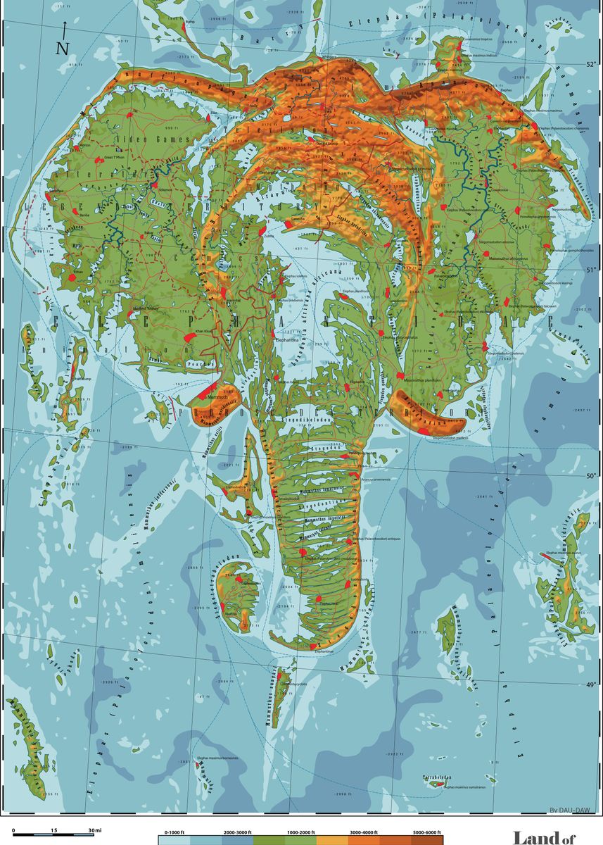 'Elephantidae' Poster by Jeppe Ringsted | Displate